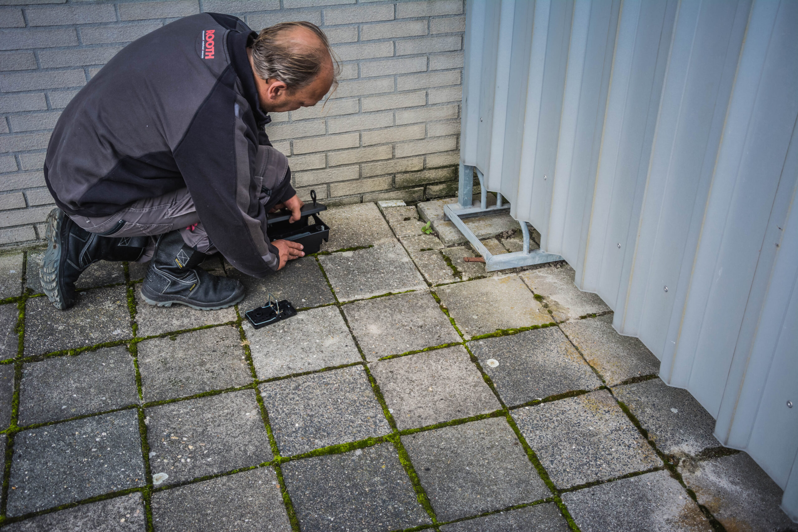 Ongediertebestrijding - Rooth